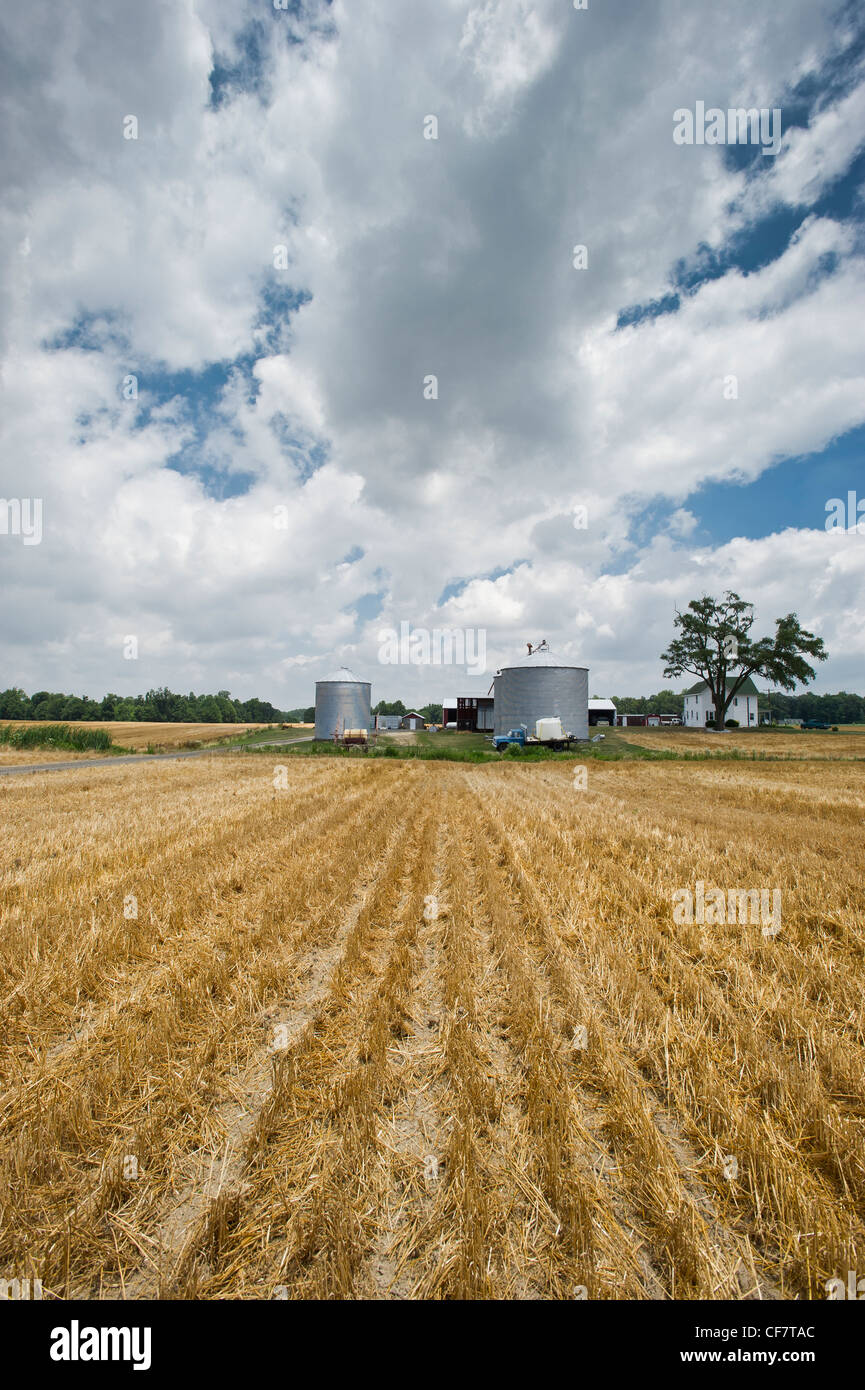 Grain elevator of grain producer's farm in Maryland Stock Photo - Alamy