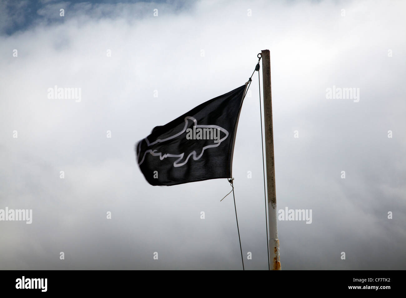 Shark fish hoek south africa hi-res stock photography and images - Alamy