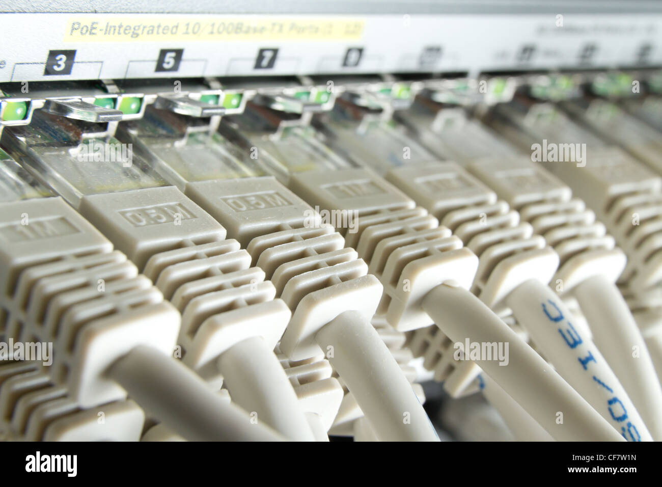 close up of network cables connected to switch Stock Photo - Alamy