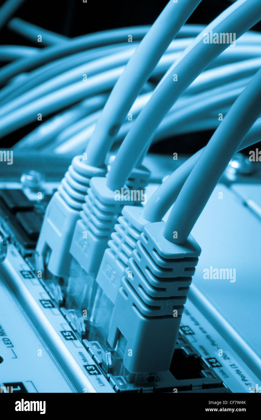 close up of network cables connected to switch Stock Photo - Alamy