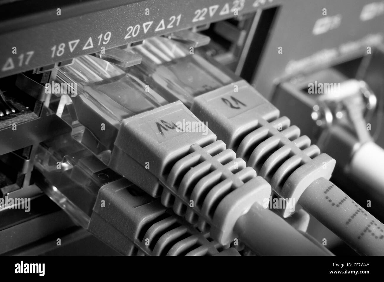 network cables connected to hub Stock Photo - Alamy