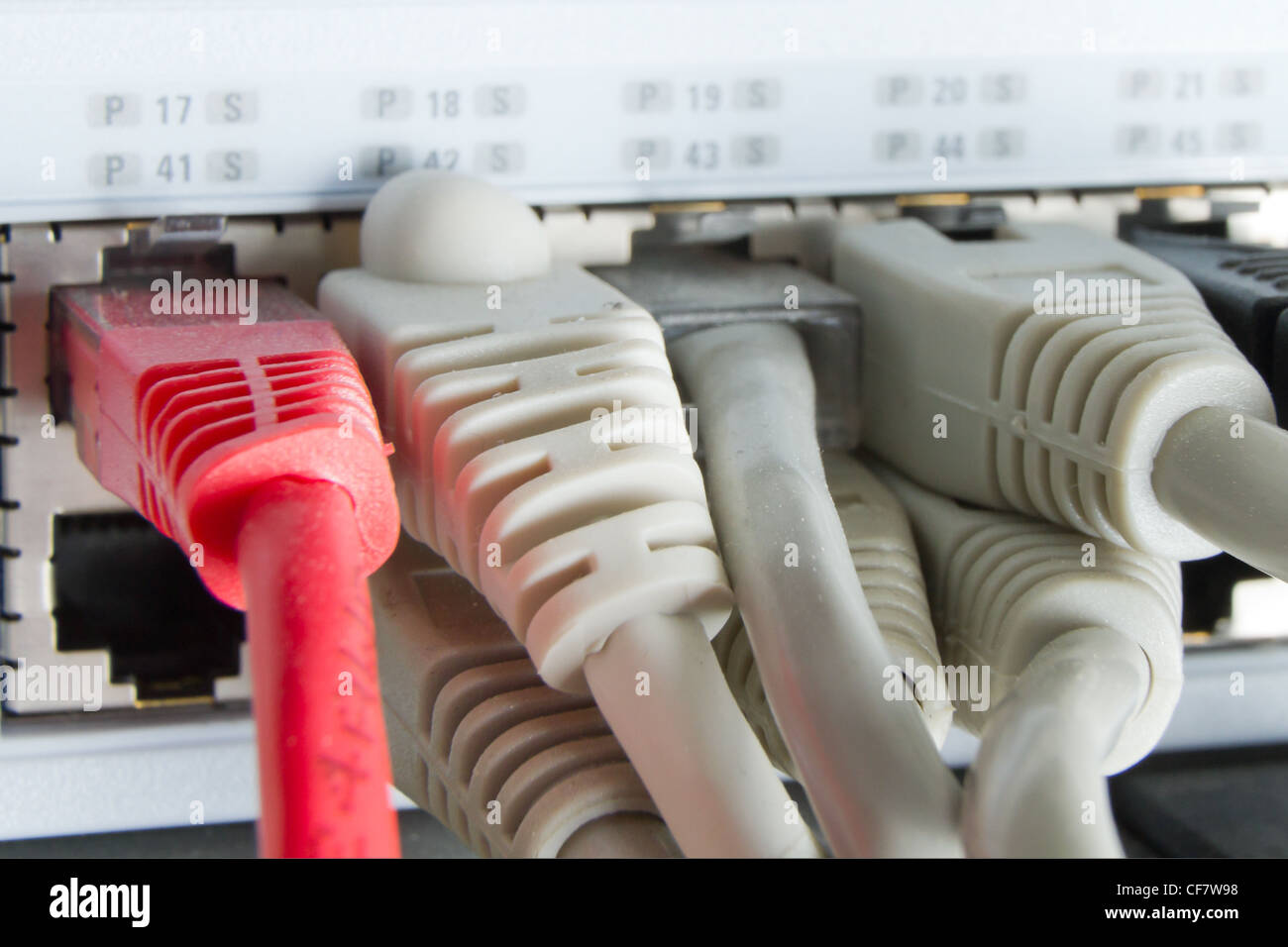 close up of network cables connected to switch Stock Photo - Alamy