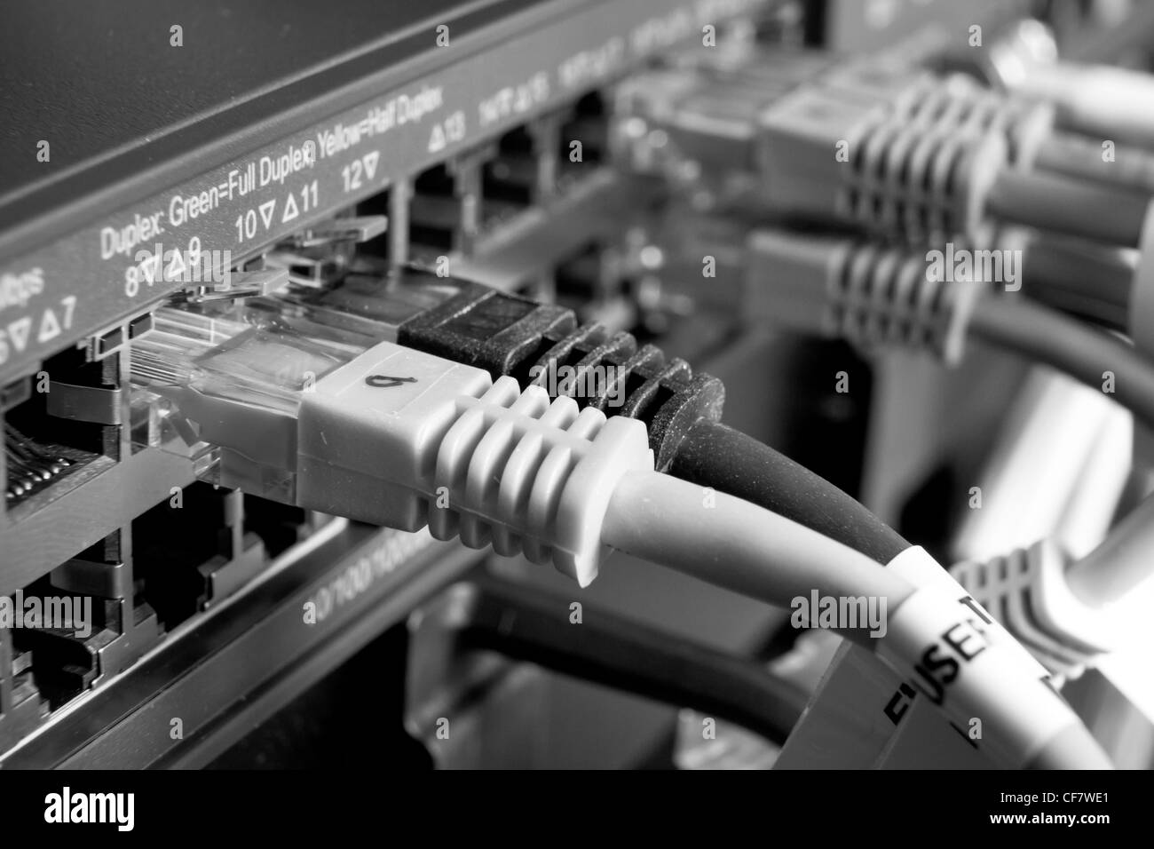 network cables connected to hub Stock Photo - Alamy
