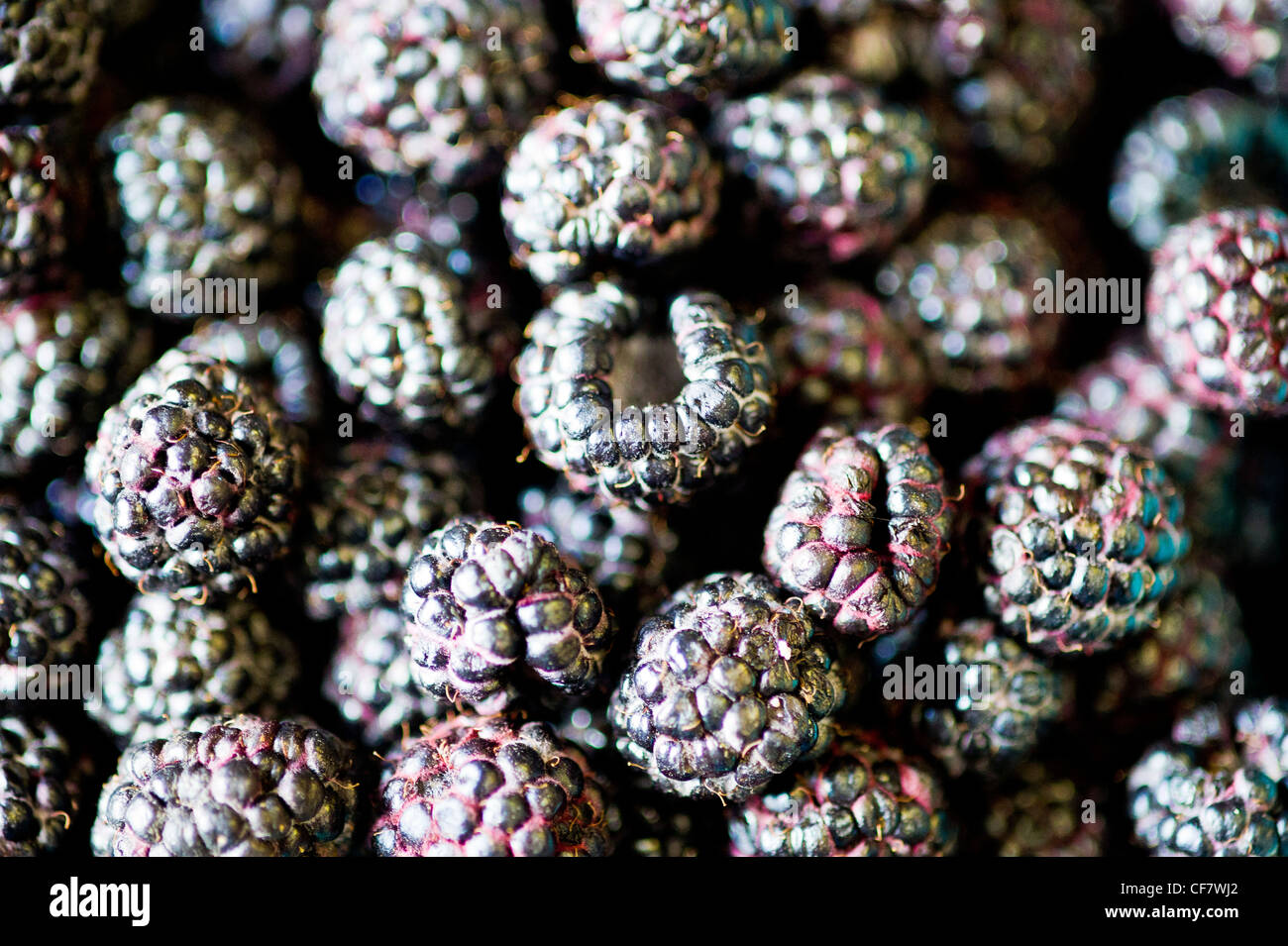 Blackberry Seeds High Resolution Stock Photography and Images - Alamy