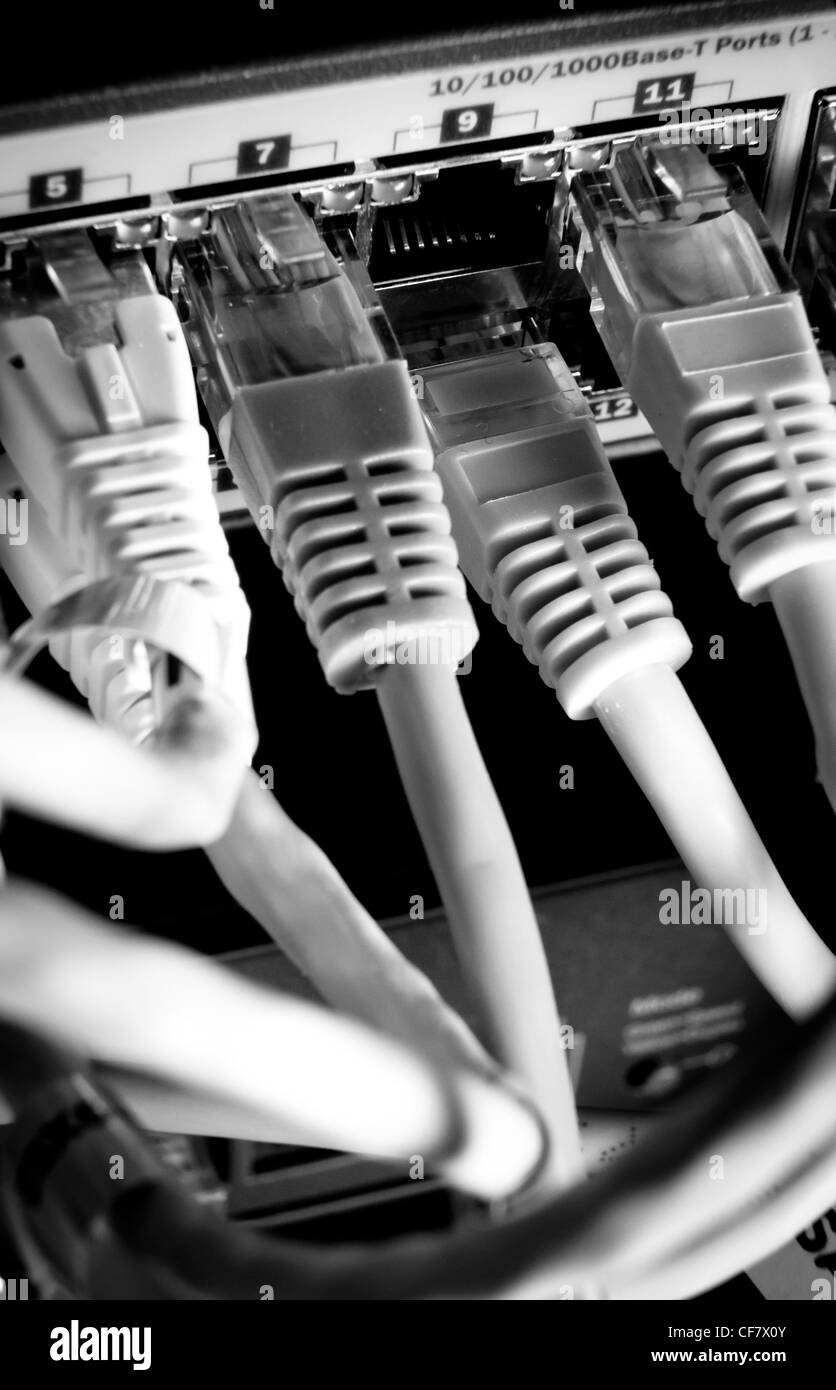 network cables connected to hub Stock Photo - Alamy