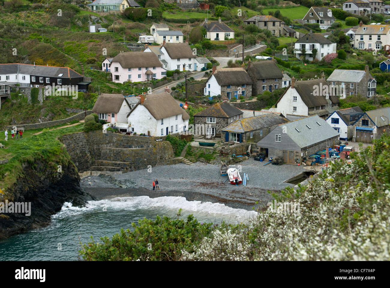 Looking down into Cadgwith from the South West Coast Path Stock Photo ...