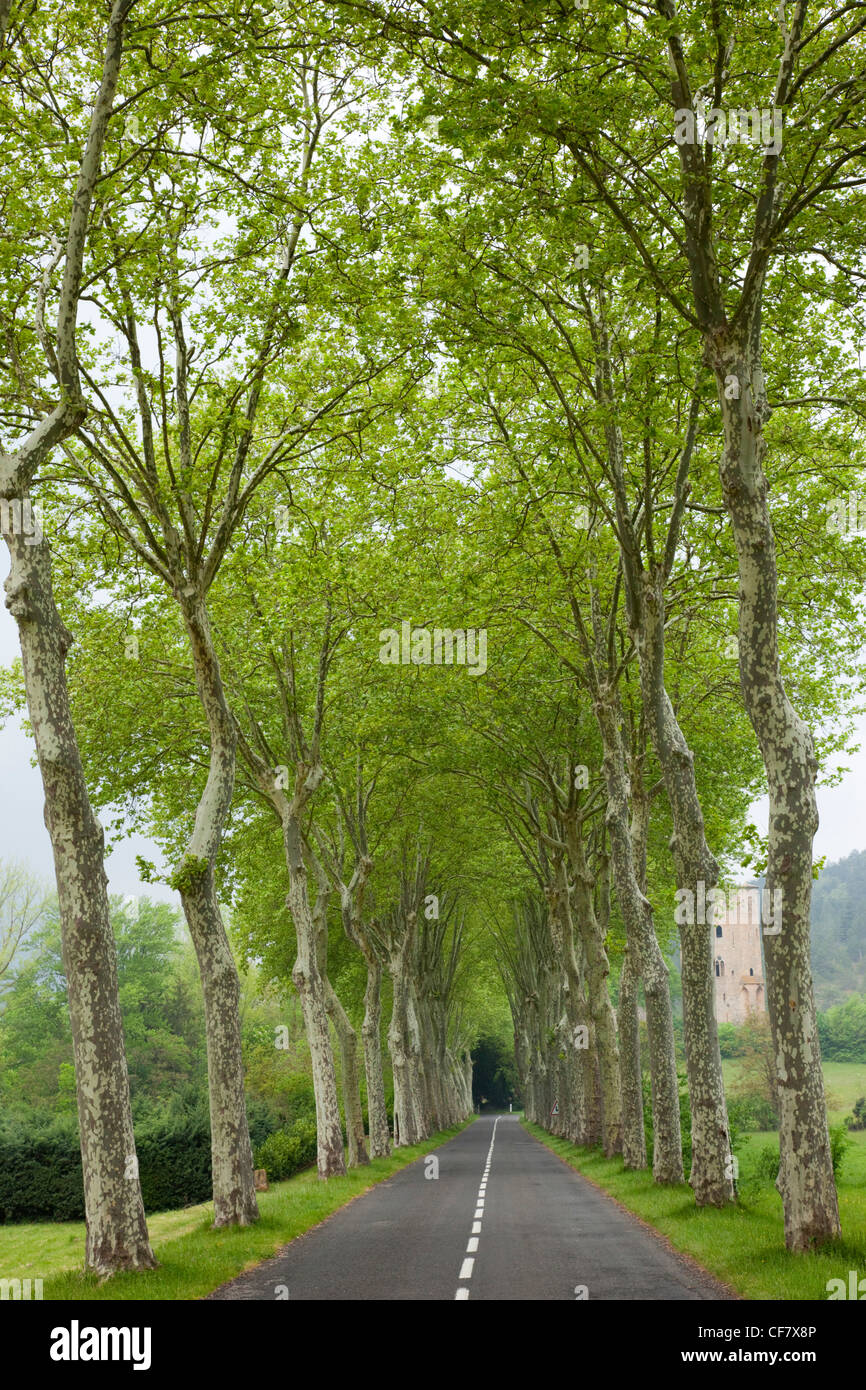 Rural roads in france hi-res stock photography and images - Alamy