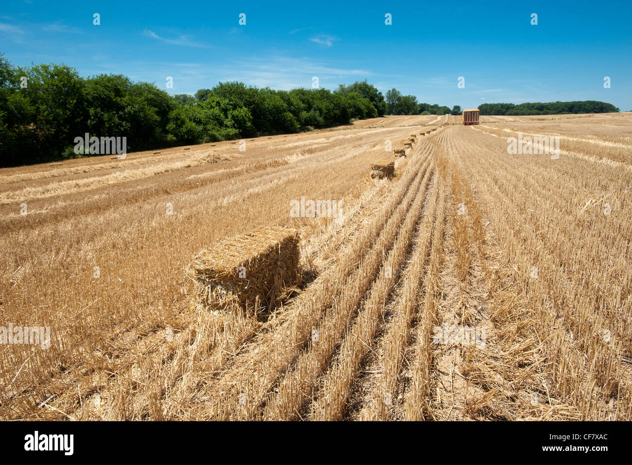 Hay baler working in field Stock Photo - Alamy