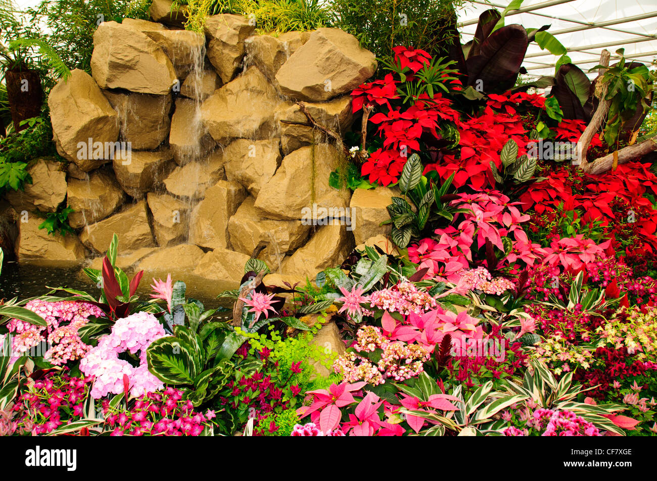 The Birmingham Council,The RHS Chelsea Flower Show,formally known as ...