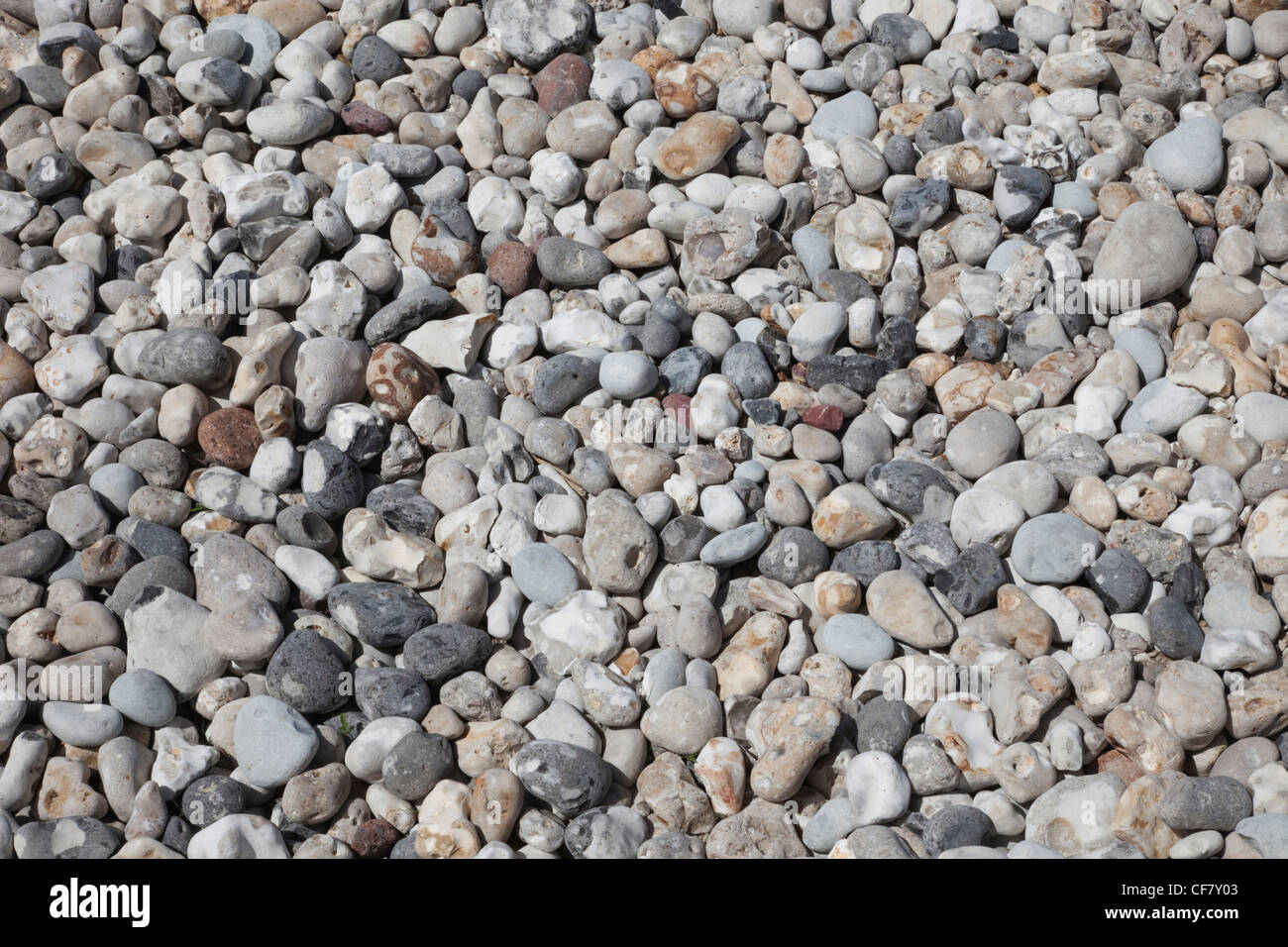Europe, France, Le Havre, Beach, Beaches, Pebbles, Stones Stock Photo ...