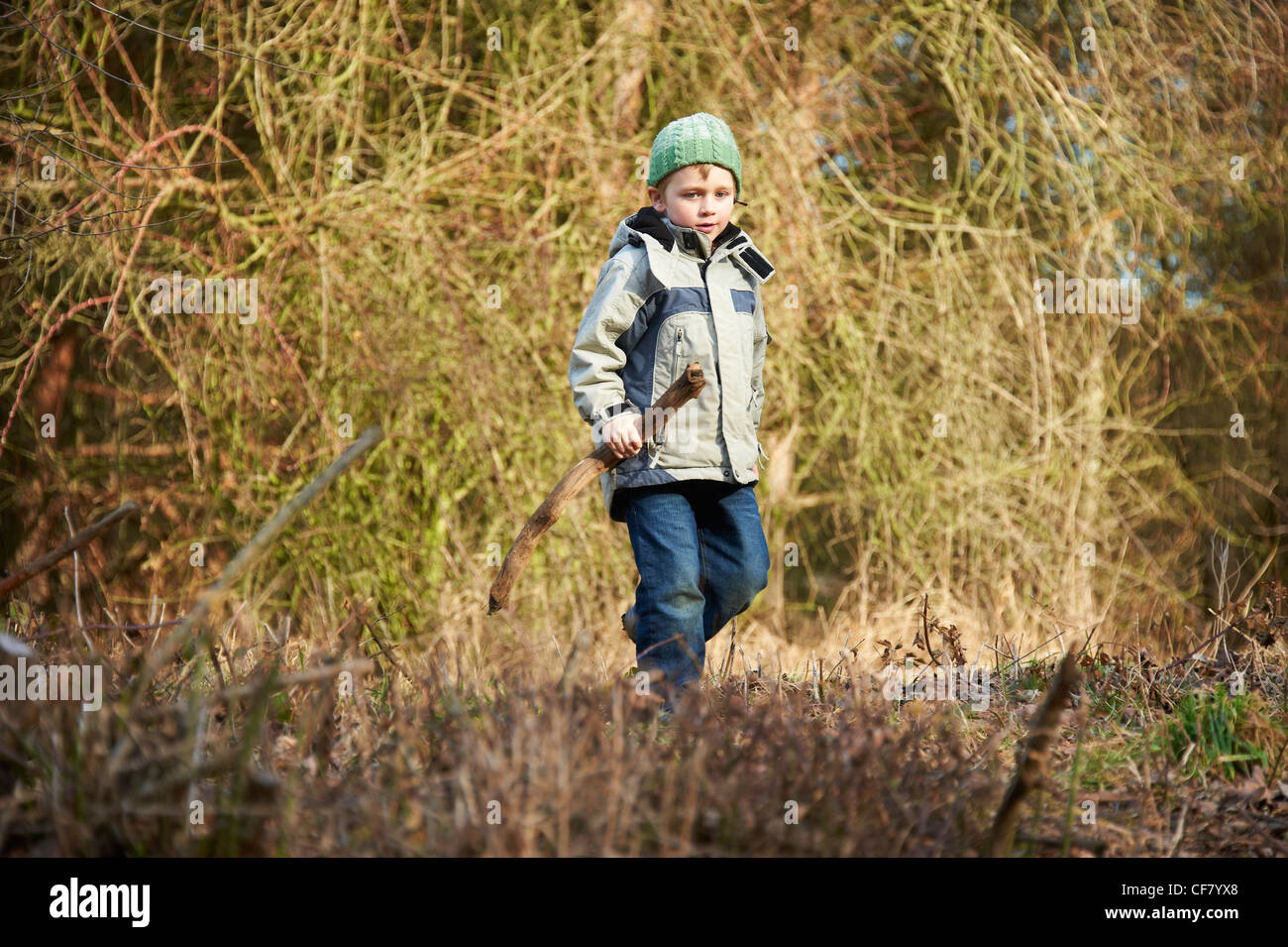 Children playing in autumn forest Stock Photo - Alamy