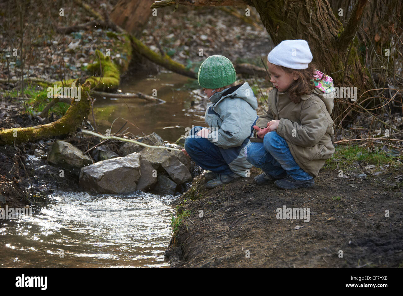 Children playing in autumn forest Stock Photo - Alamy