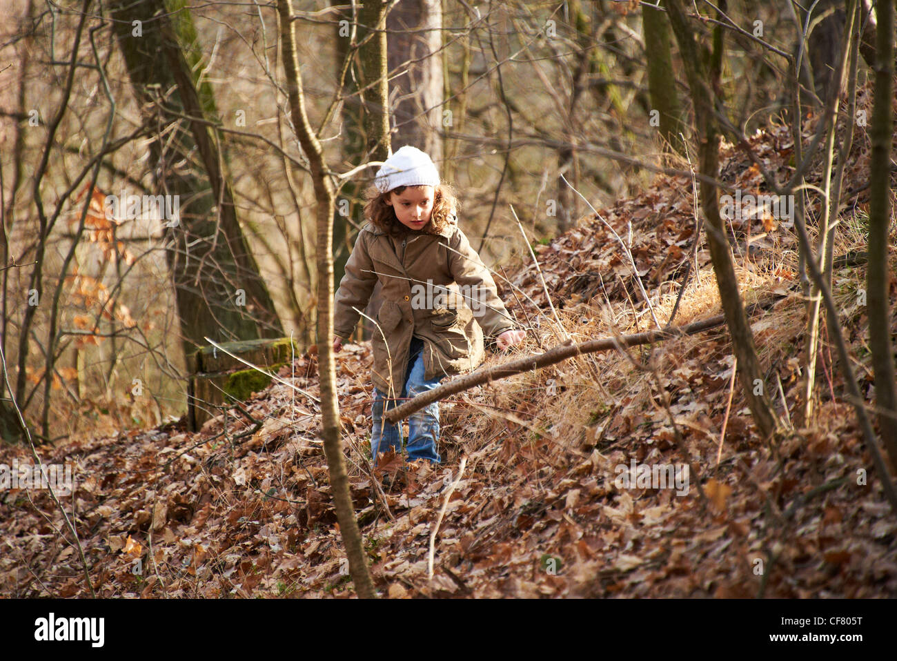 Children playing in autumn forest Stock Photo - Alamy