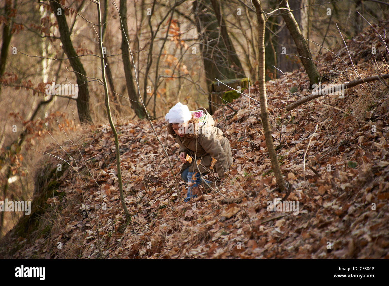Children playing in autumn forest Stock Photo - Alamy