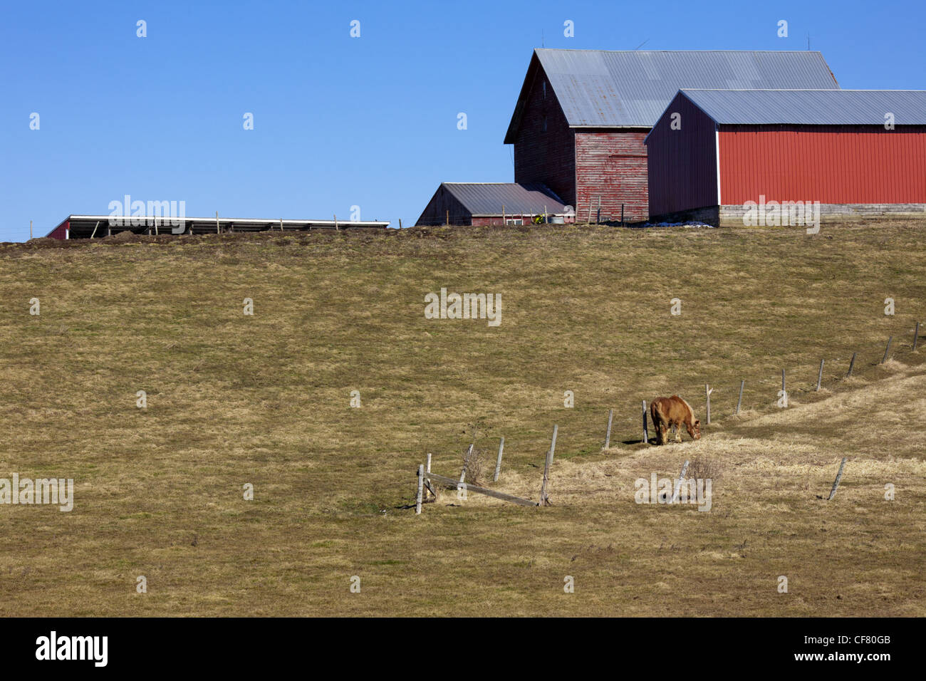 A farm in the Mohawk Valley of New York State Stock Photo - Alamy