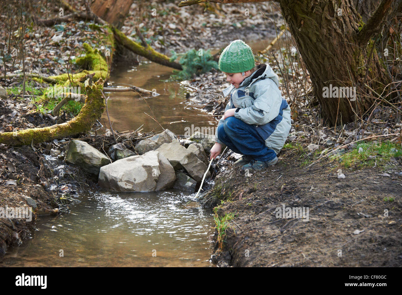 Children playing in autumn forest Stock Photo - Alamy