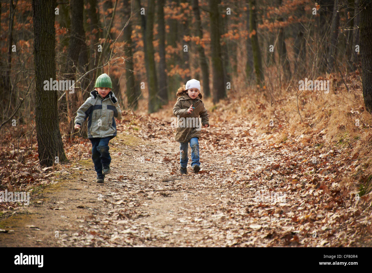 Children playing in autumn forest Stock Photo - Alamy