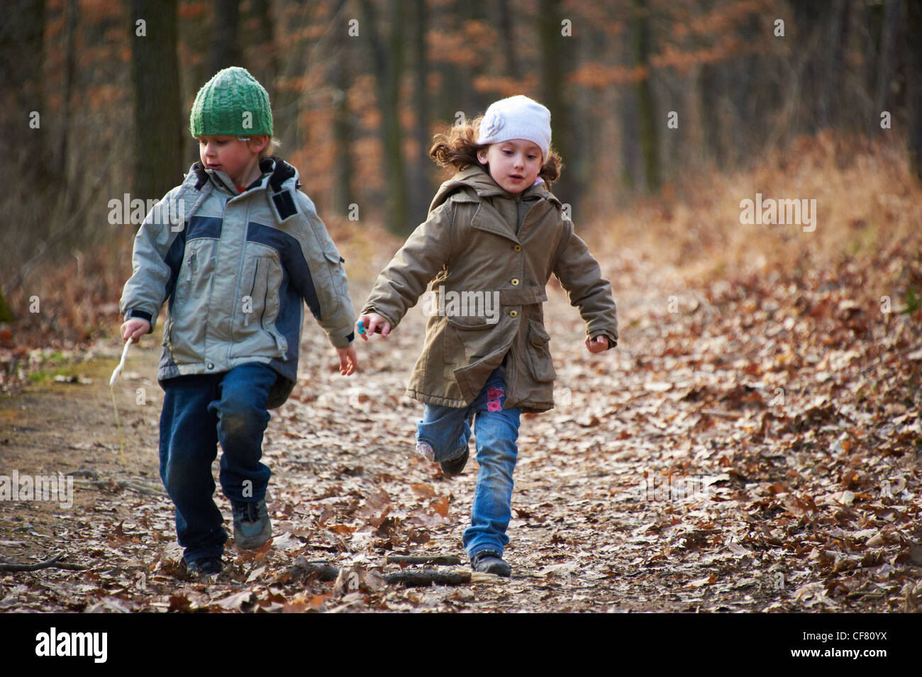 Children playing in autumn forest Stock Photo - Alamy