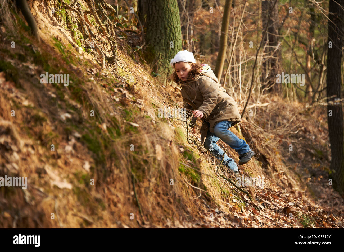 Children playing in autumn forest Stock Photo - Alamy