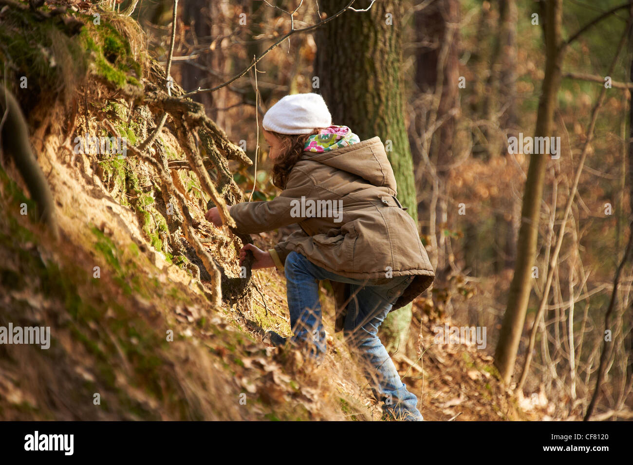 Children playing in autumn forest Stock Photo - Alamy