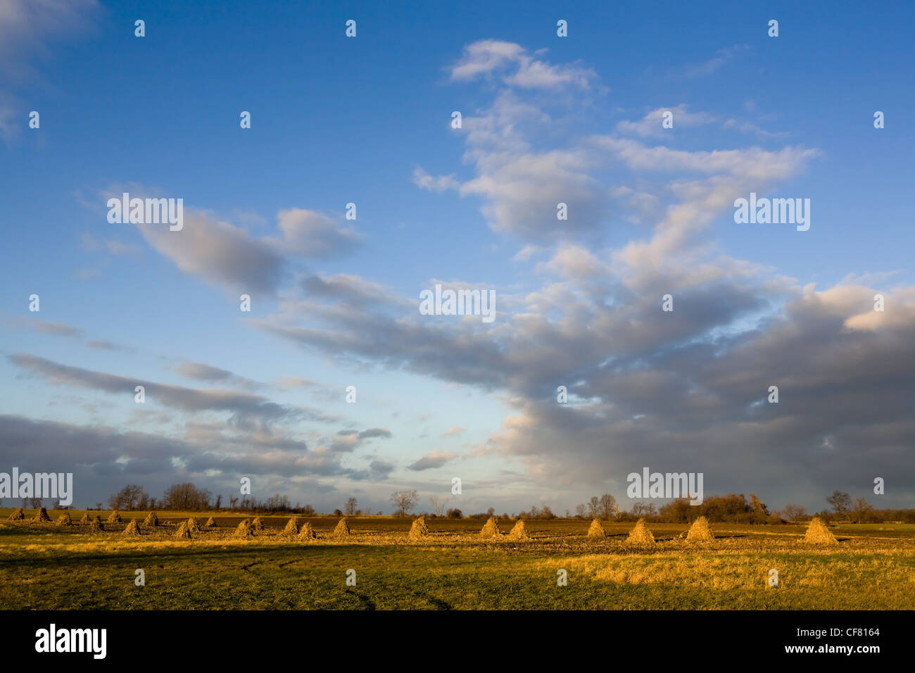 Corn shocks hi-res stock photography and images - Alamy