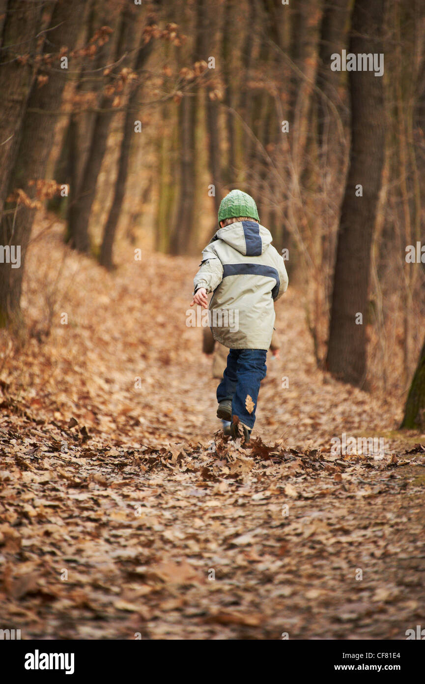 Children playing in autumn forest Stock Photo - Alamy