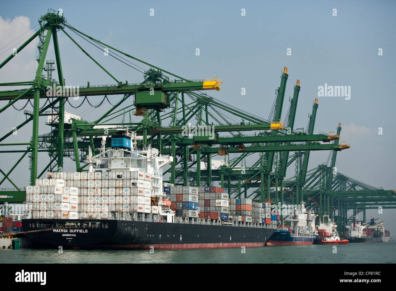Container ships are seen moored at the Pasir Panjang terminal of the ...