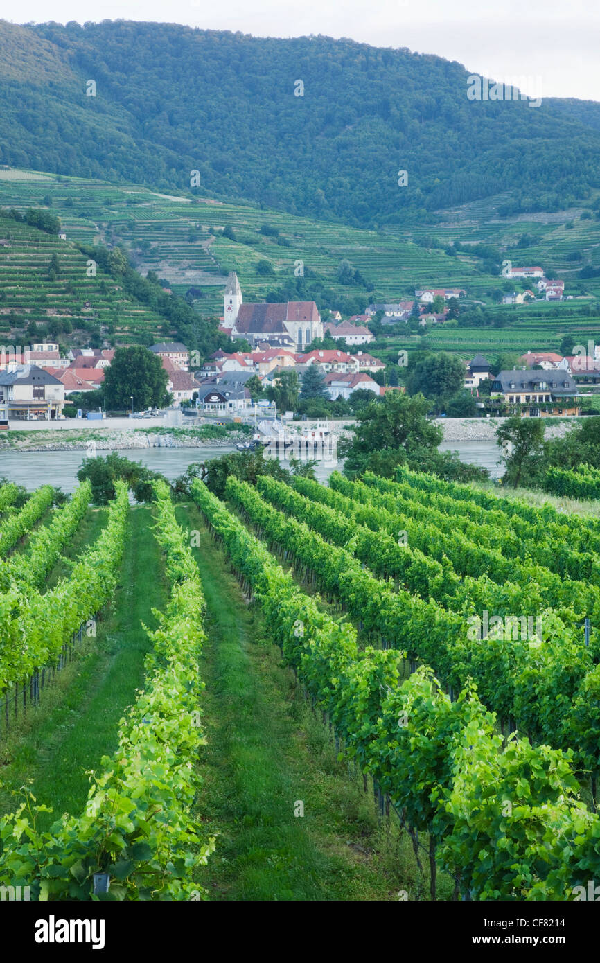Europe, Austria, Wachau, Spitz, Danube, Donau, Vineyard, Vineyards ...