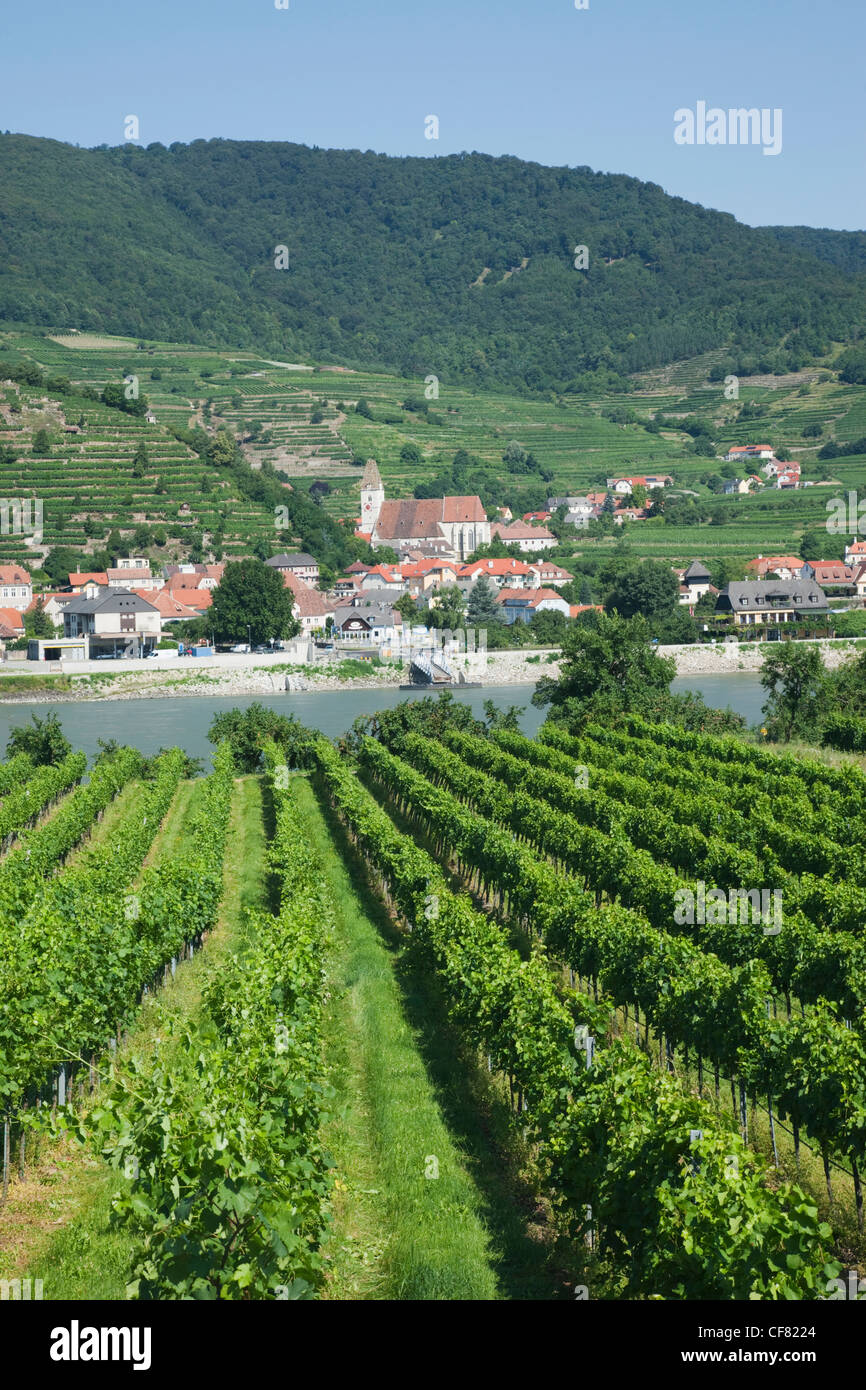 Europe, Austria, Wachau, Spitz, Danube, Donau, Vineyard, Vineyards ...