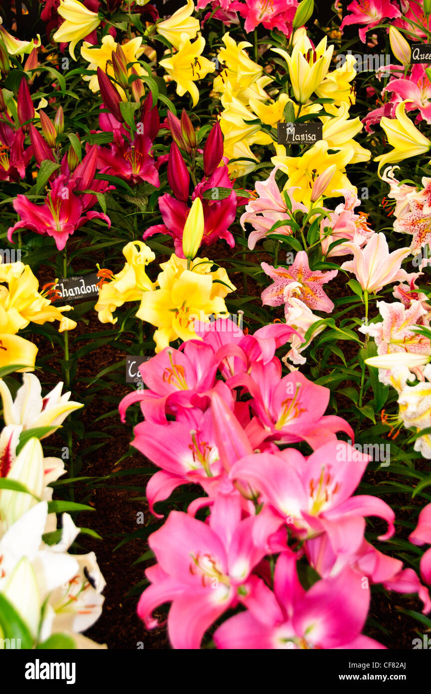 Waitrose Stand,The RHS Chelsea Flower Show,formally known as the Great ...
