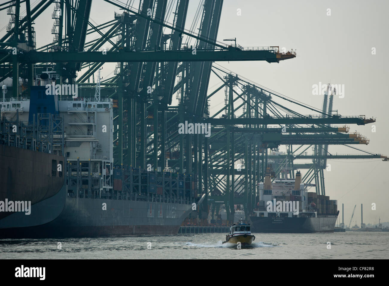 Container ships are seen moored at the Pasir Panjang terminal of the ...