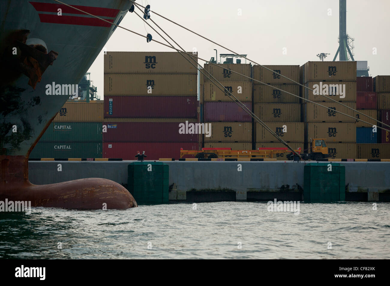 Container ships are seen moored at the Pasir Panjang terminal of the ...
