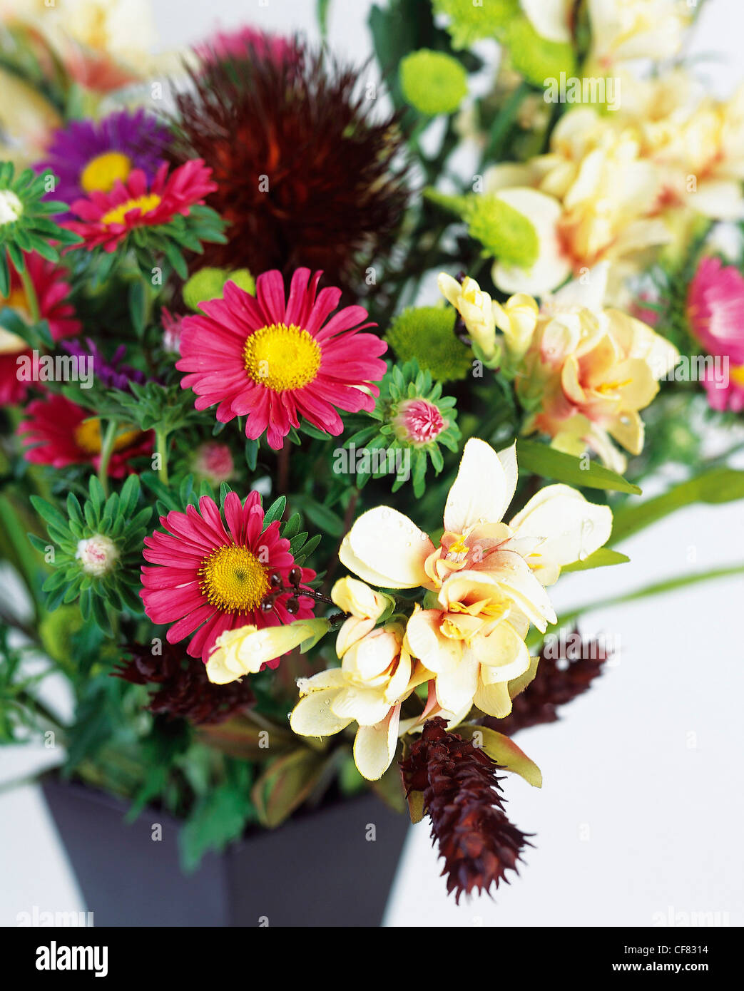 Flowers Forever These days it is hard to tell the difference between ...