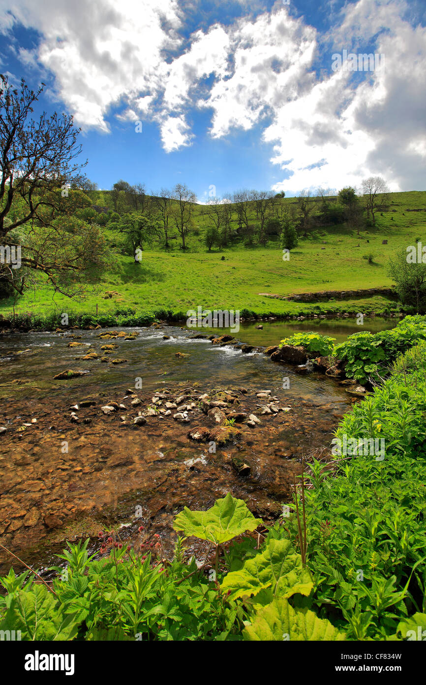 Summer view through Chee Dale on the river Wye, near Blackwell village ...