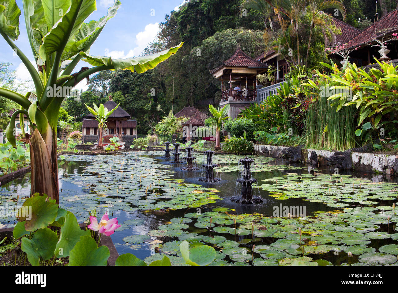 Indonesia, Asia, Bali Island, Tirta Gangga, Water Palace, garden, water ...