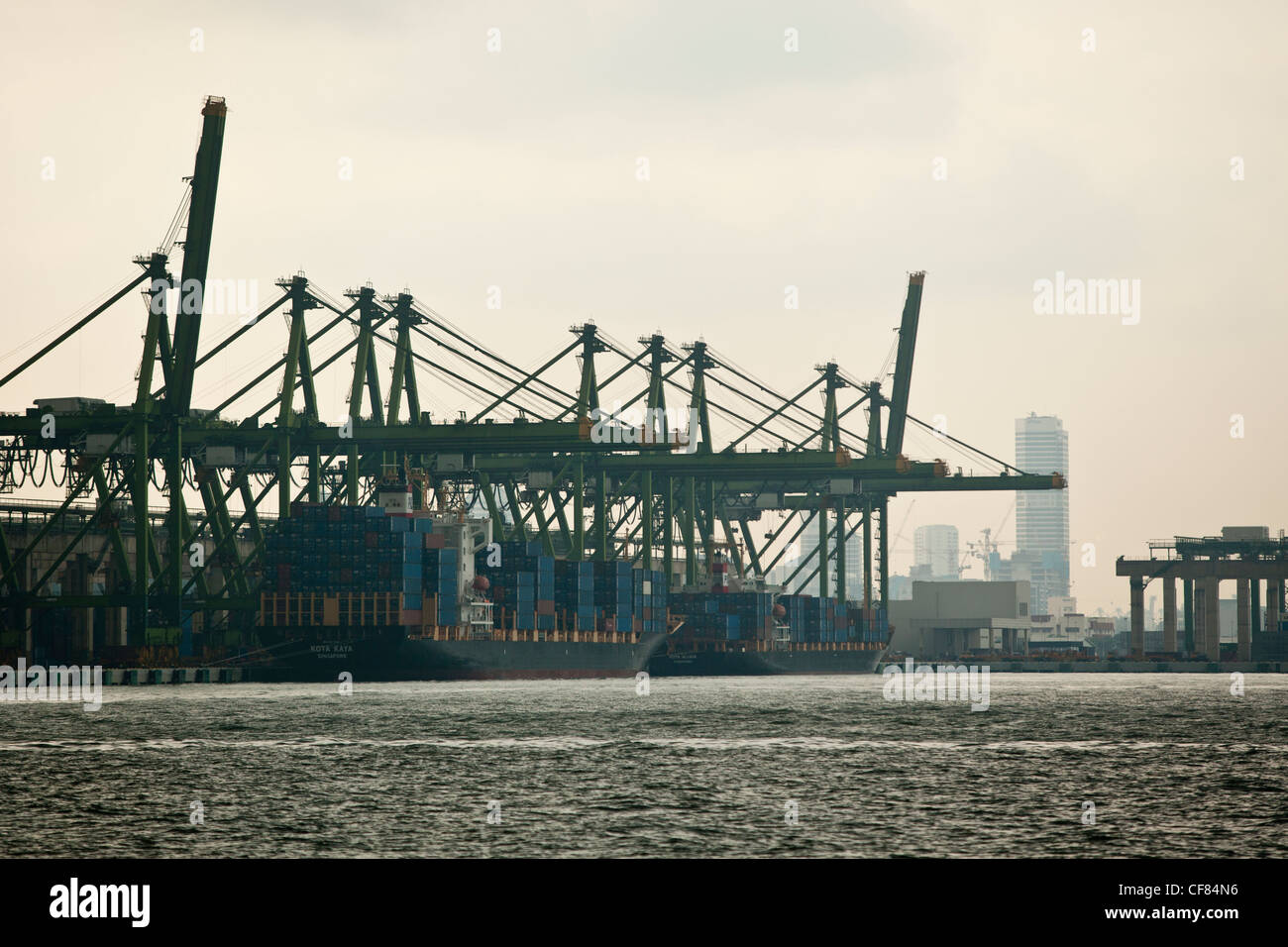 Container ships are seen moored at the Pasir Panjang terminal of the ...