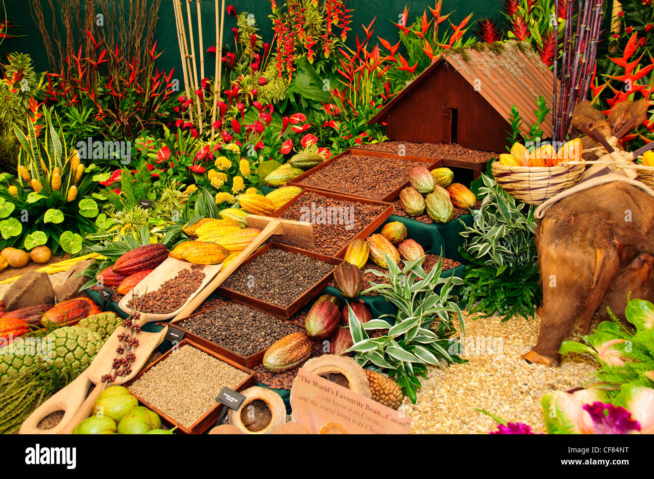 The Trinidad & Tobago Stand,The RHS Chelsea Flower Show,formally known ...