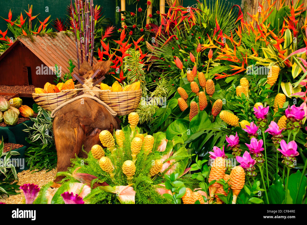 The Trinidad & Tobago Stand,The RHS Chelsea Flower Show,formally known ...