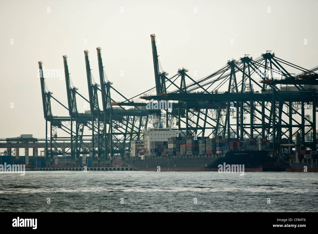 Container ships are seen moored at the Pasir Panjang terminal of the ...