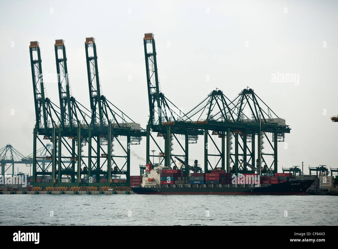 Container ships are seen moored at the Pasir Panjang terminal of the ...