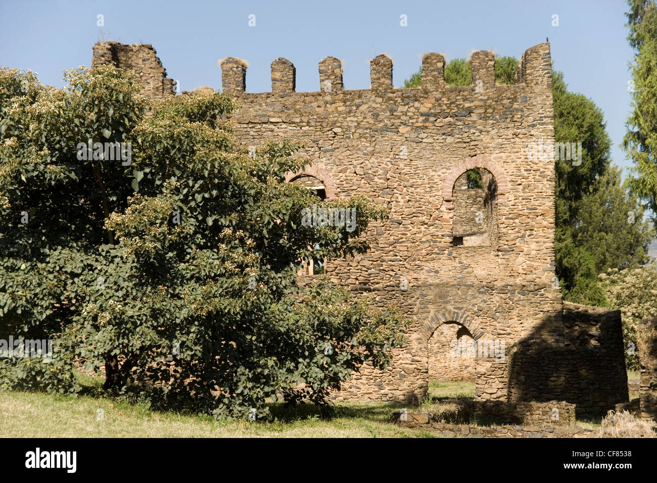 Castles in the Royal Enclosure in Gonder, Ethiopia Stock Photo - Alamy