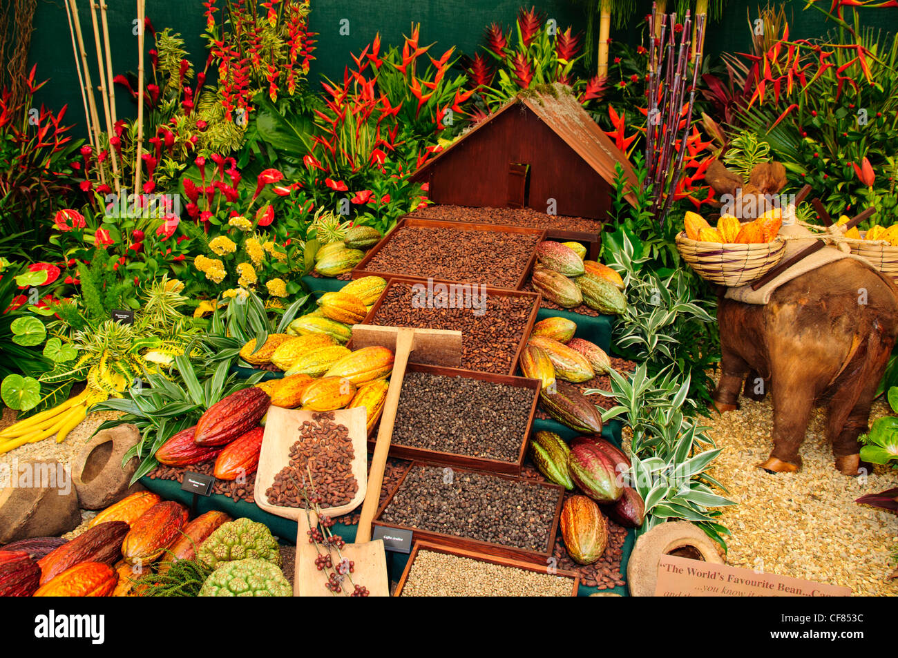 The Trinidad & Tobago Stand,The RHS Chelsea Flower Show,formally known ...