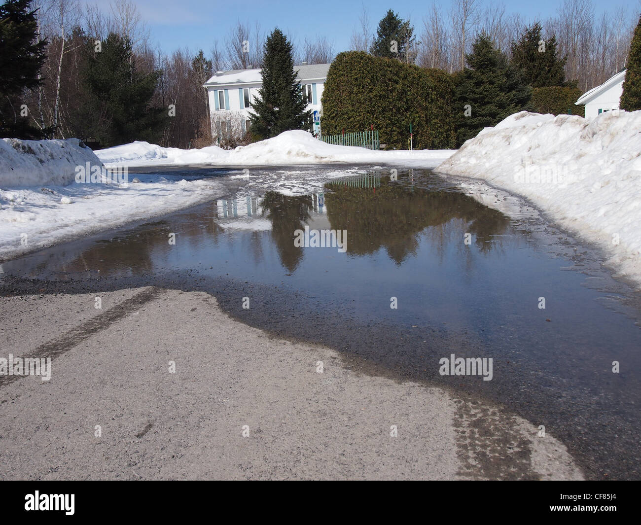 Spring thaw and flooding on road Stock Photo - Alamy