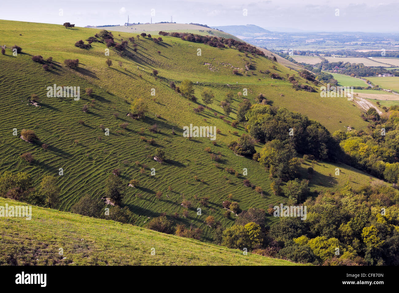 Rolling Sussex countryside Stock Photo - Alamy