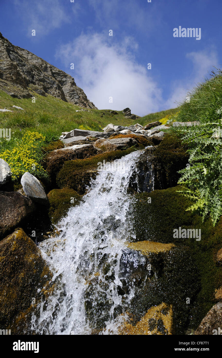 Alpine spring water hi-res stock photography and images - Alamy
