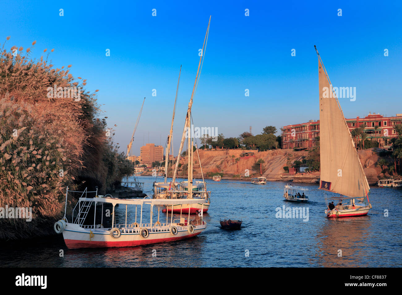 Africa, African, Maghreb, Egypt, Egyptian, Mid East, Mid-East, Middle ...