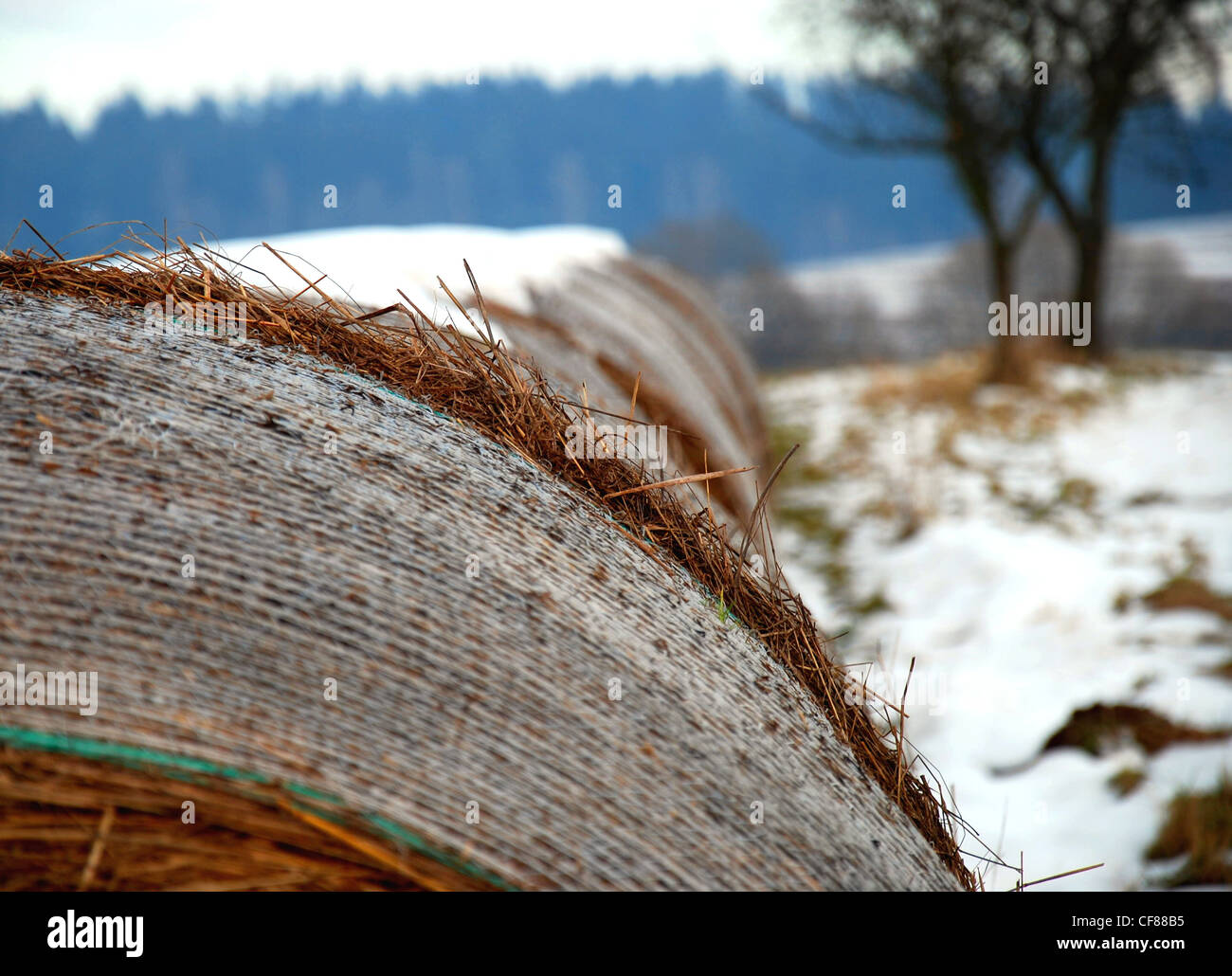 Bundle of straw Stock Photo - Alamy