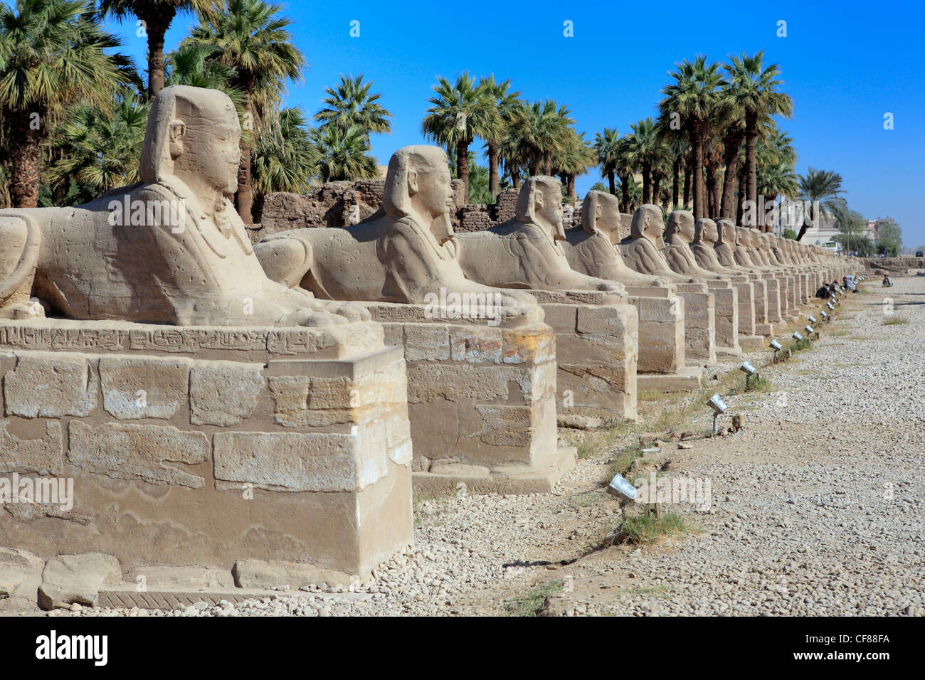Africa, African, Maghreb, Egypt, Egyptian, Mid East, Mid-East, Middle ...