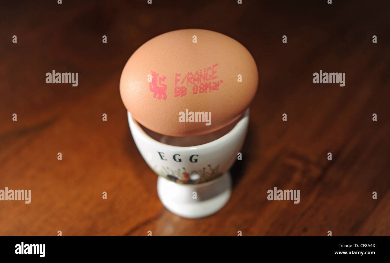 Free Range egg with quality control mark stamped on shell in an eggcup ...