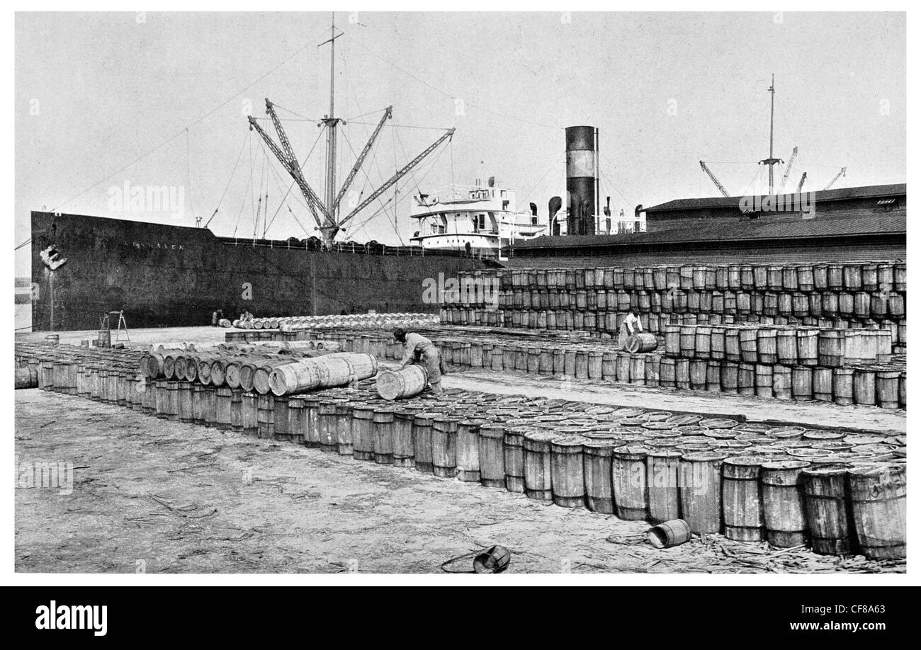 Colophony Black and White Stock Photos & Images - Alamy